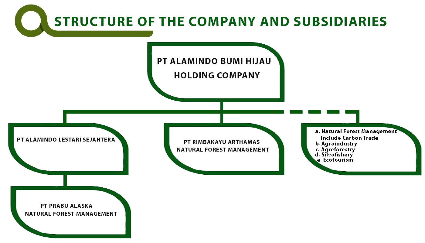 Company Structure and Subsidiaries – PT Alamindo Lestari Sejahtera